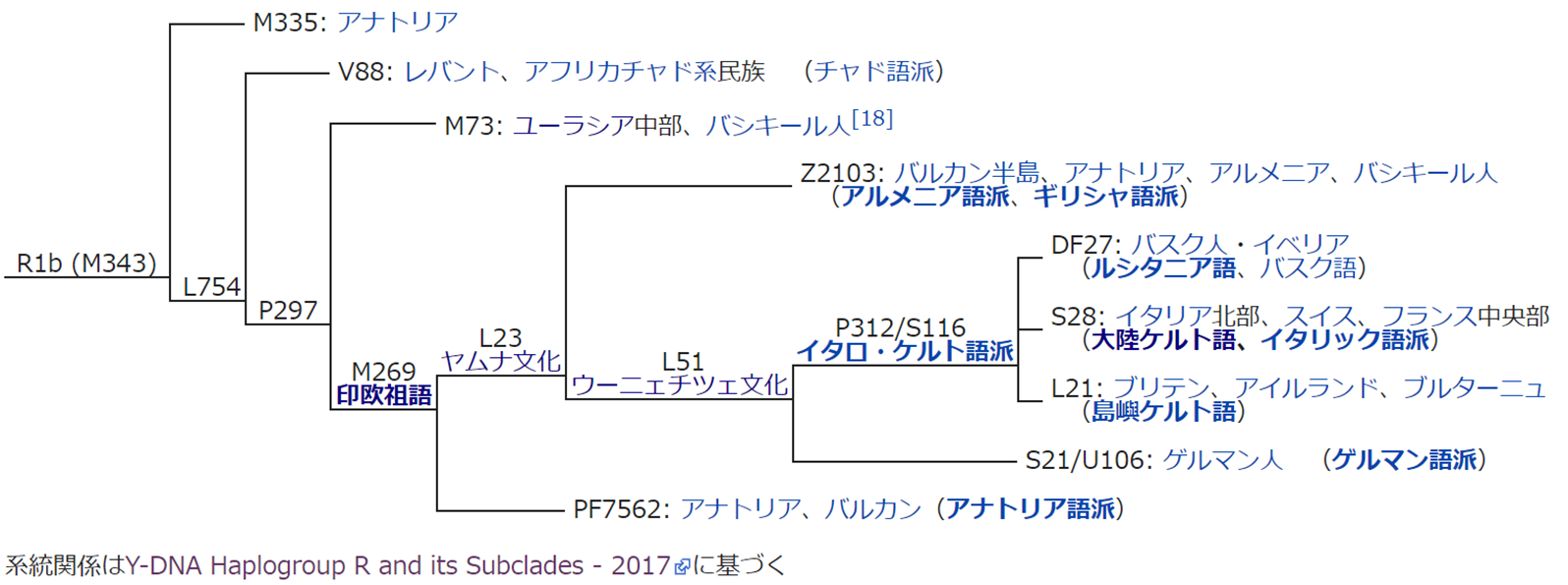 言語系統をハプログループ（Y染色体･ミトコンドリアDNA）で辿る｜語族と遺伝子の関係 | Easy Word Power